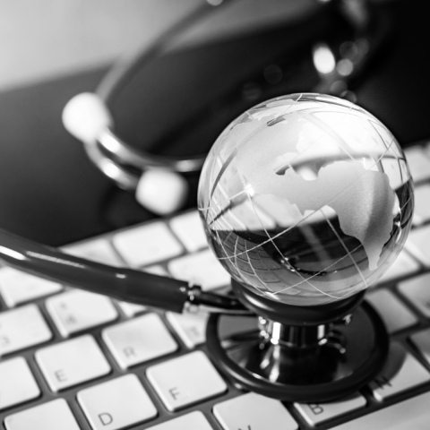 Homepage | IP Progress